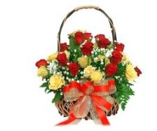 Send Splendid Impression | 99Blooms